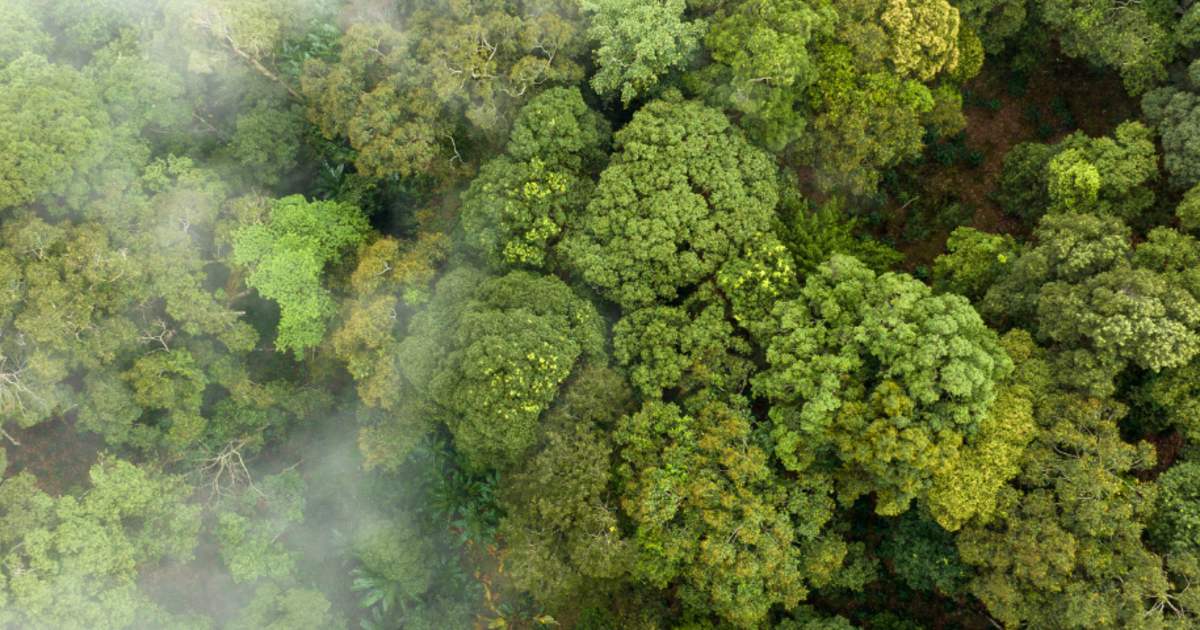 Deep Decarbonization Pathways | IDDRI